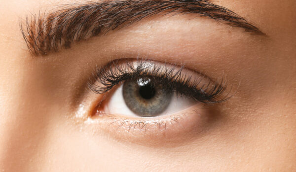 Understanding Brow Shapes - Aesthetics Membership